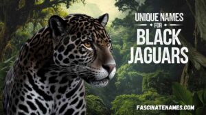 Roar with Pride: Best Jaguar Names for Fierce Companions! - Fascinate Names