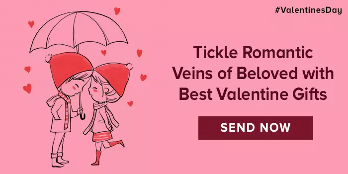 250+ Cute & Romantic Valentine’s Day Gift Captions to Melt Their Heart ...